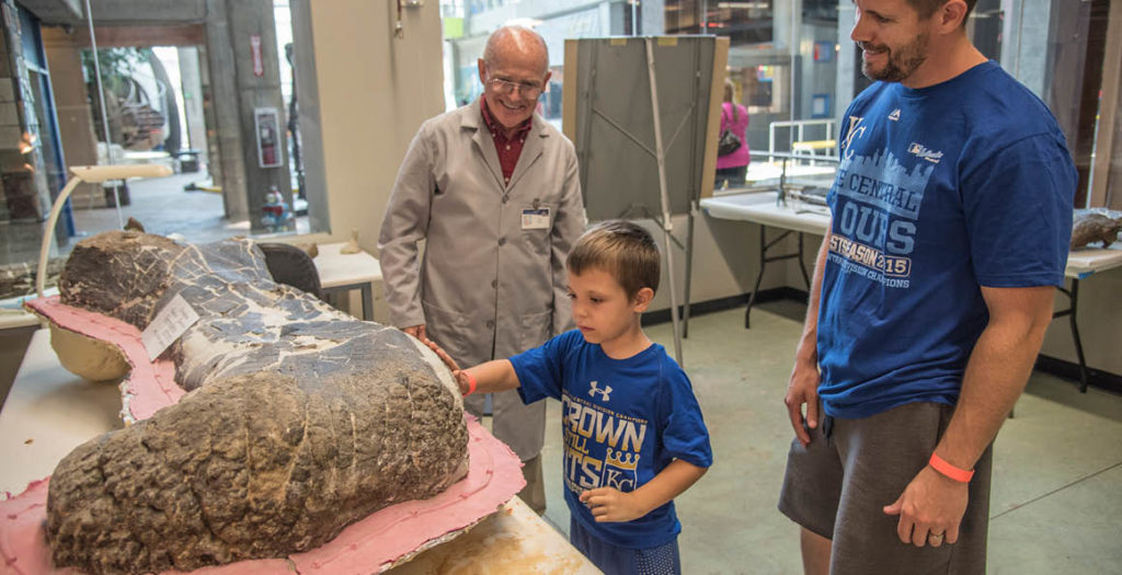 Dig Site and Dino Lab - Science City